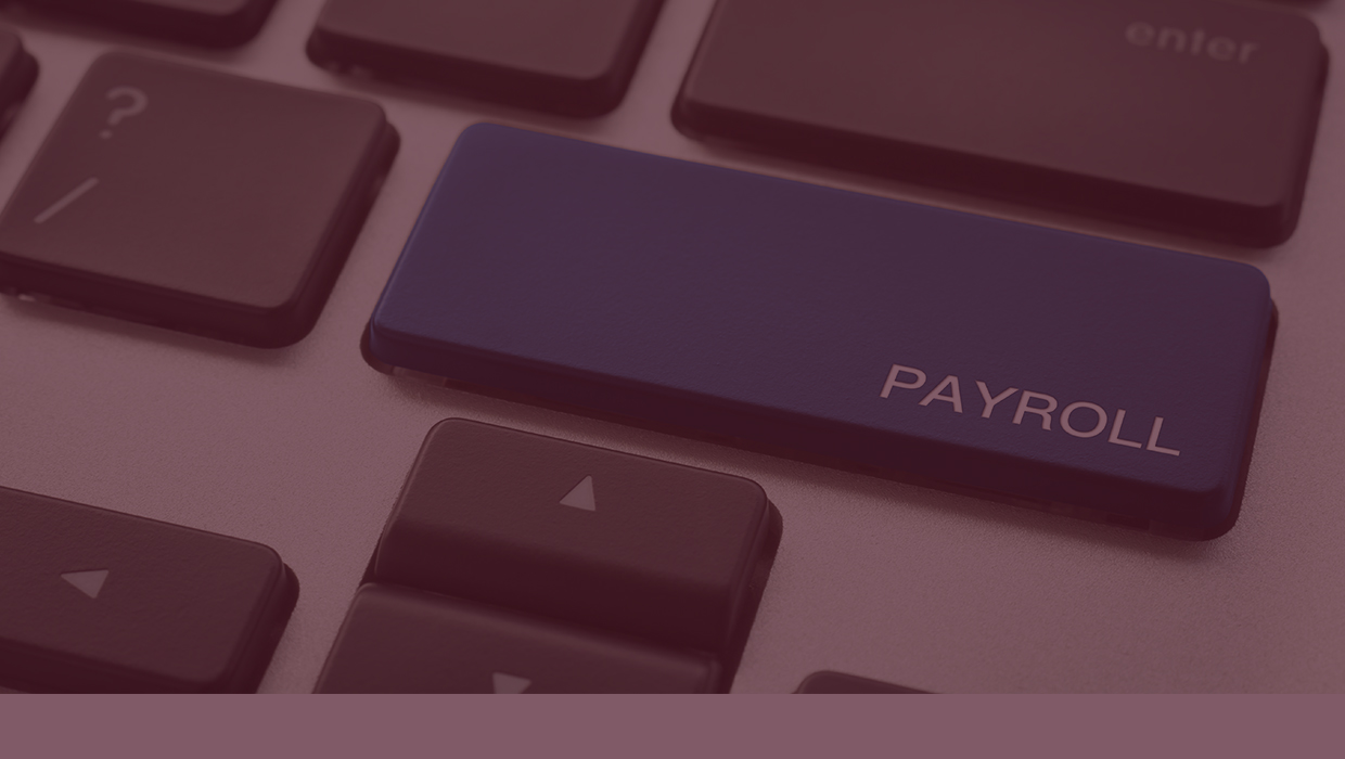 Accounting & Payroll Services - FSS Group, Inc.- Financial & IT Management